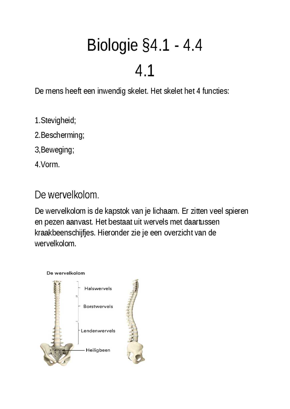 Biologie 4.4: Samenvatting van het Inwendig Skelet en Functies ...