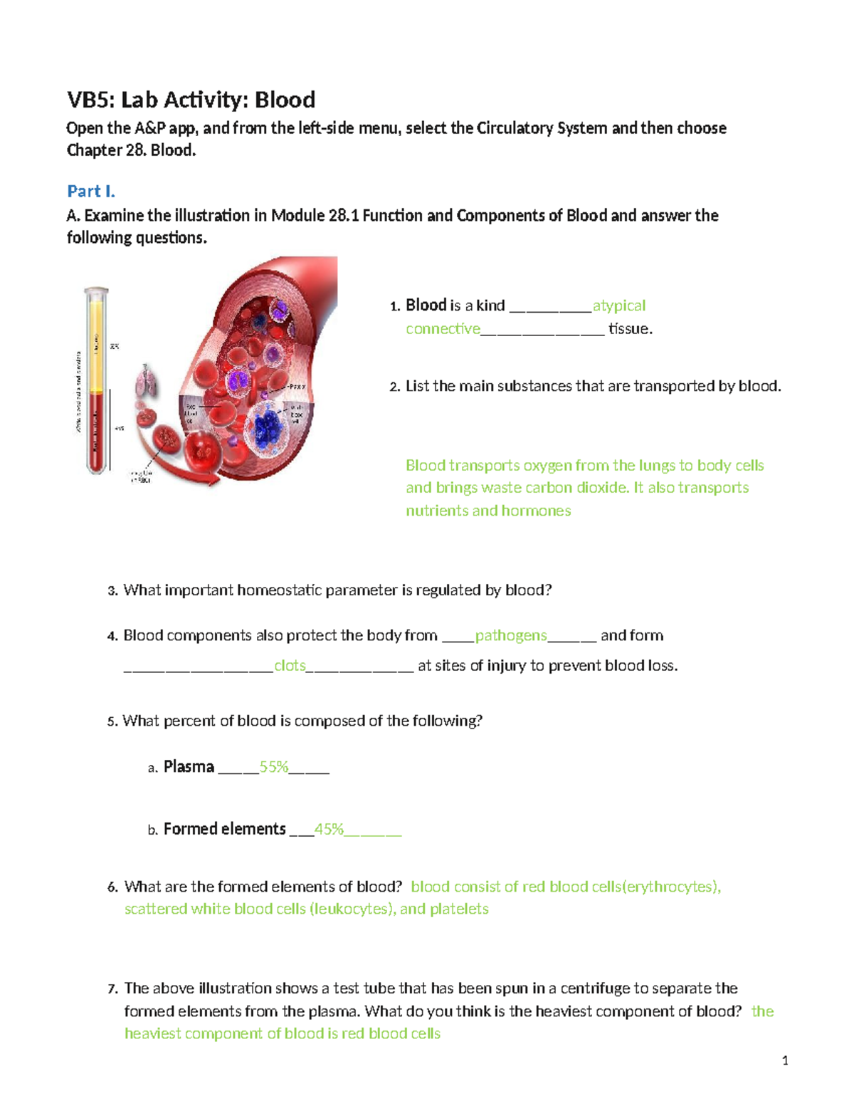 VB5-Lab Activity: Blood Typing and Hematocrit Analysis - Studocu