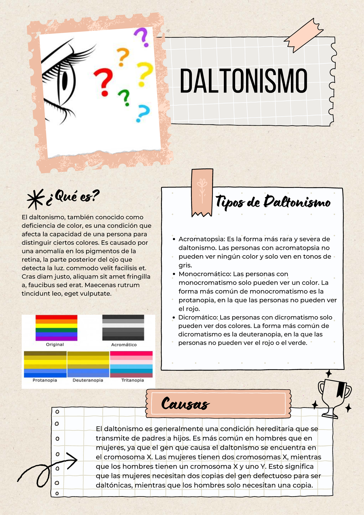 Daltonismo Causas Sntomas Tipos Y Caractersticas 1080x1350