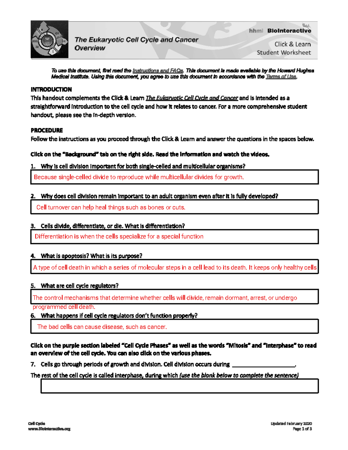 EUK101: Student Worksheet on The Eukaryotic Cell Cycle and Cancer - Studocu