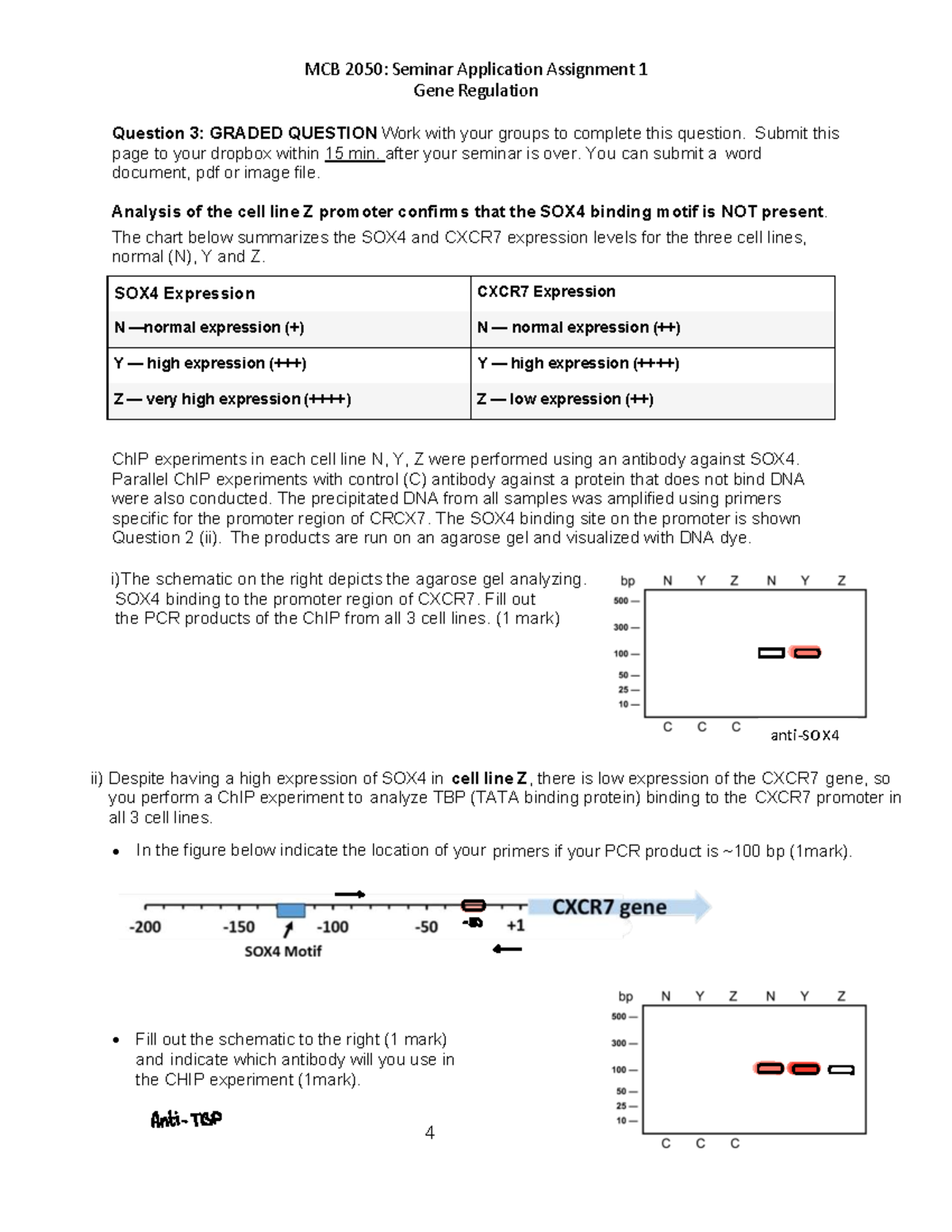 MCB 2050: Seminar Application Assignment 1 - Gene Regulation Analysis ...