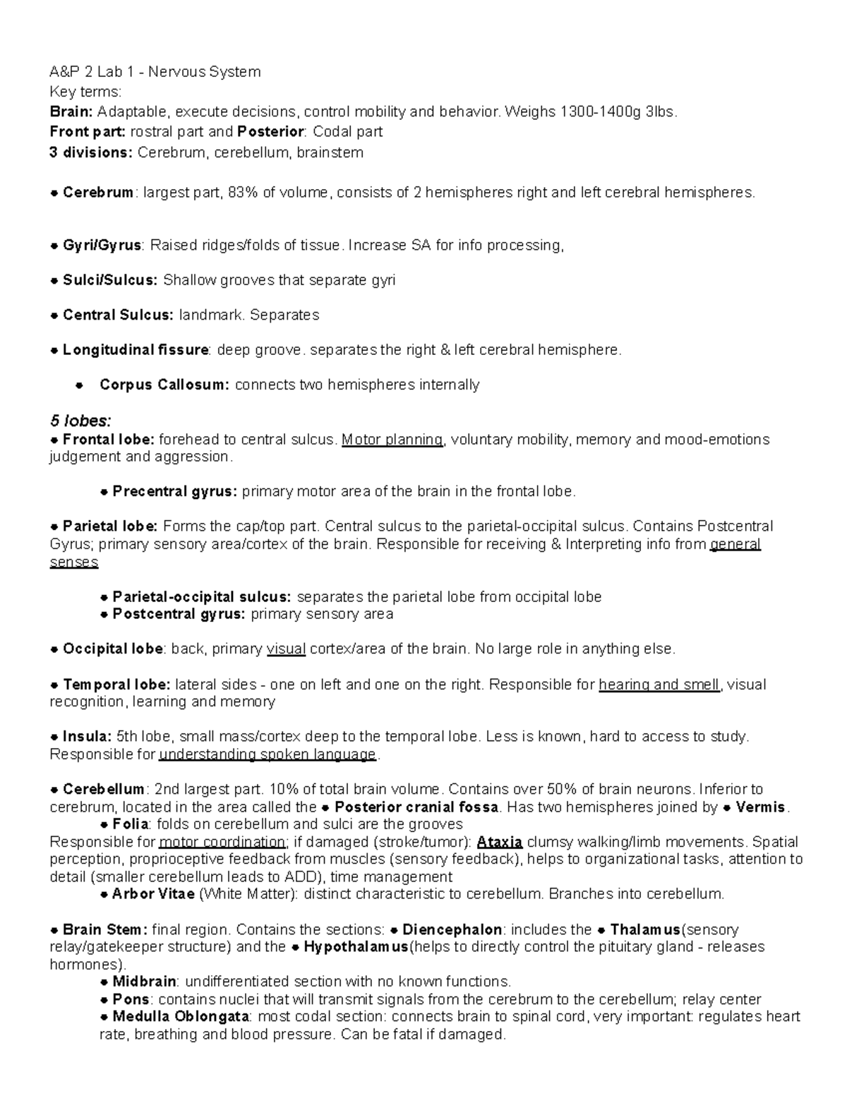 Lab 2 Notes - A&P 2 Lab 1 - Nervous System Key terms: Brain: Adaptable ...