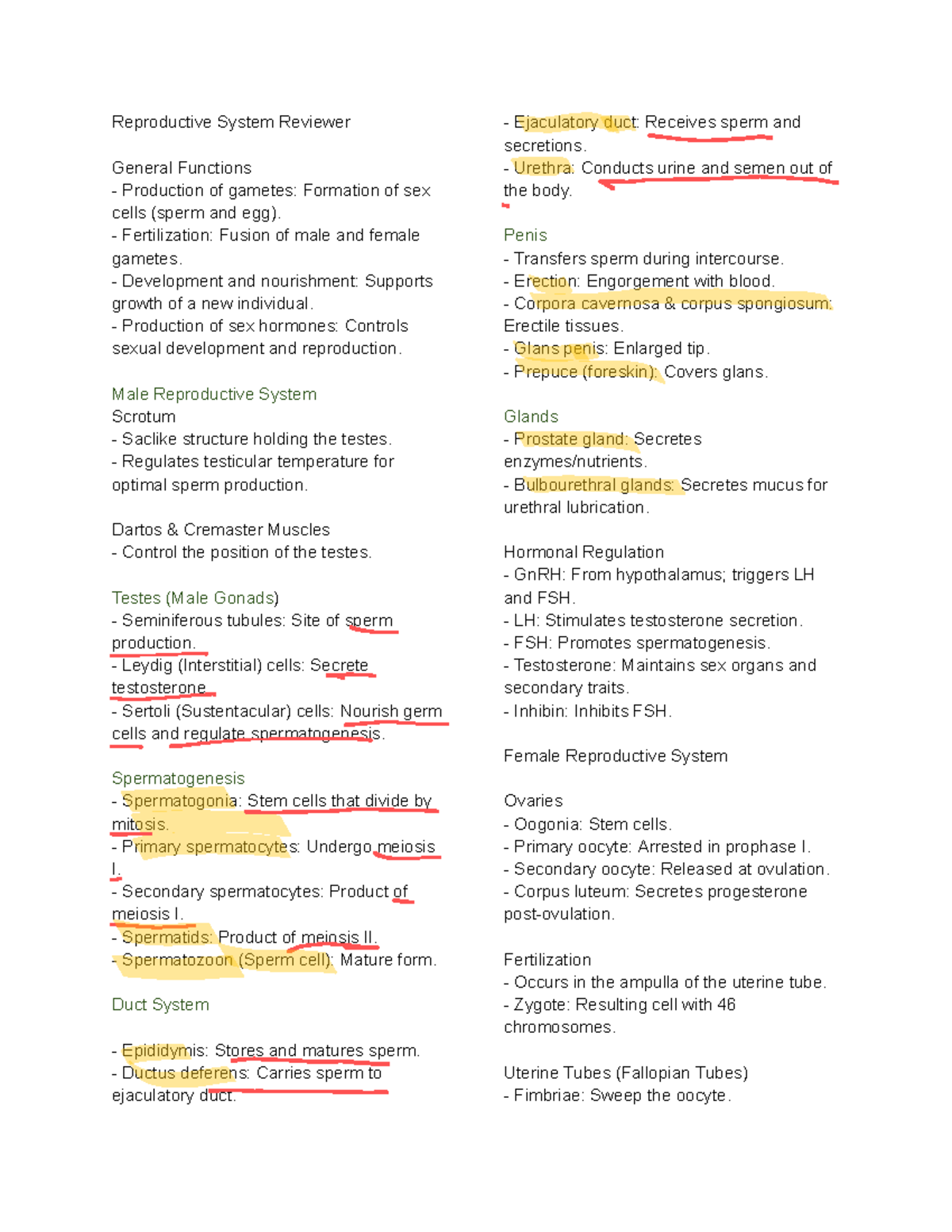 Reproductive System Overview: Functions & Structures (BIO 101) - Studocu