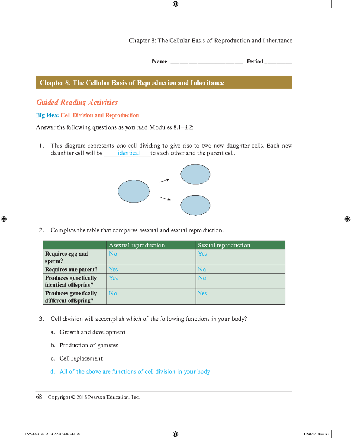 Chapter 8 Review Sheet: Cellular Basis of Reproduction & Inheritance ...
