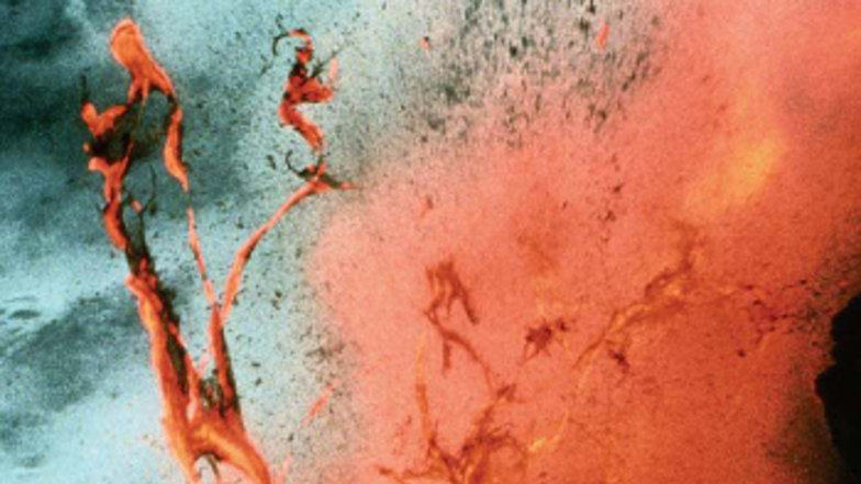 Sociology 101: Chapter 1 Lecture Notes on The Sociological Perspective ...