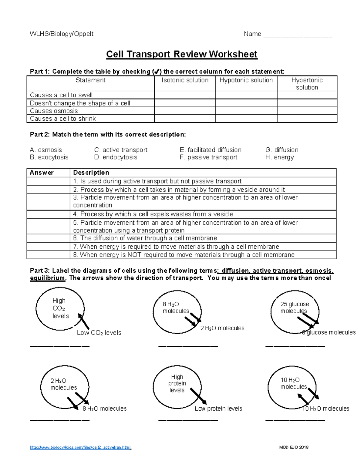 Cell Transport Review Worksheet for WLHS Biology Class - Studocu