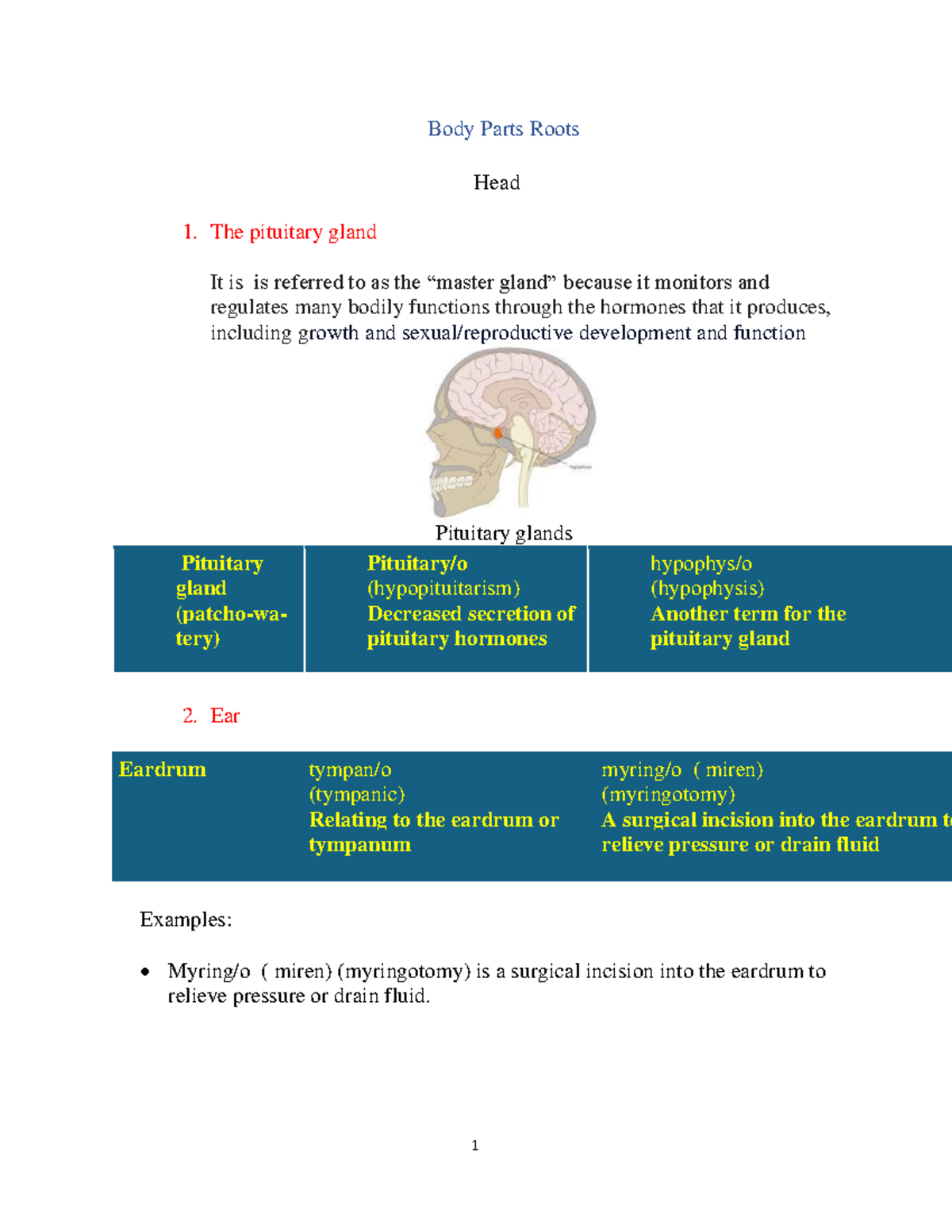 Body Parts and Their Functions: A Comprehensive Overview - Studocu