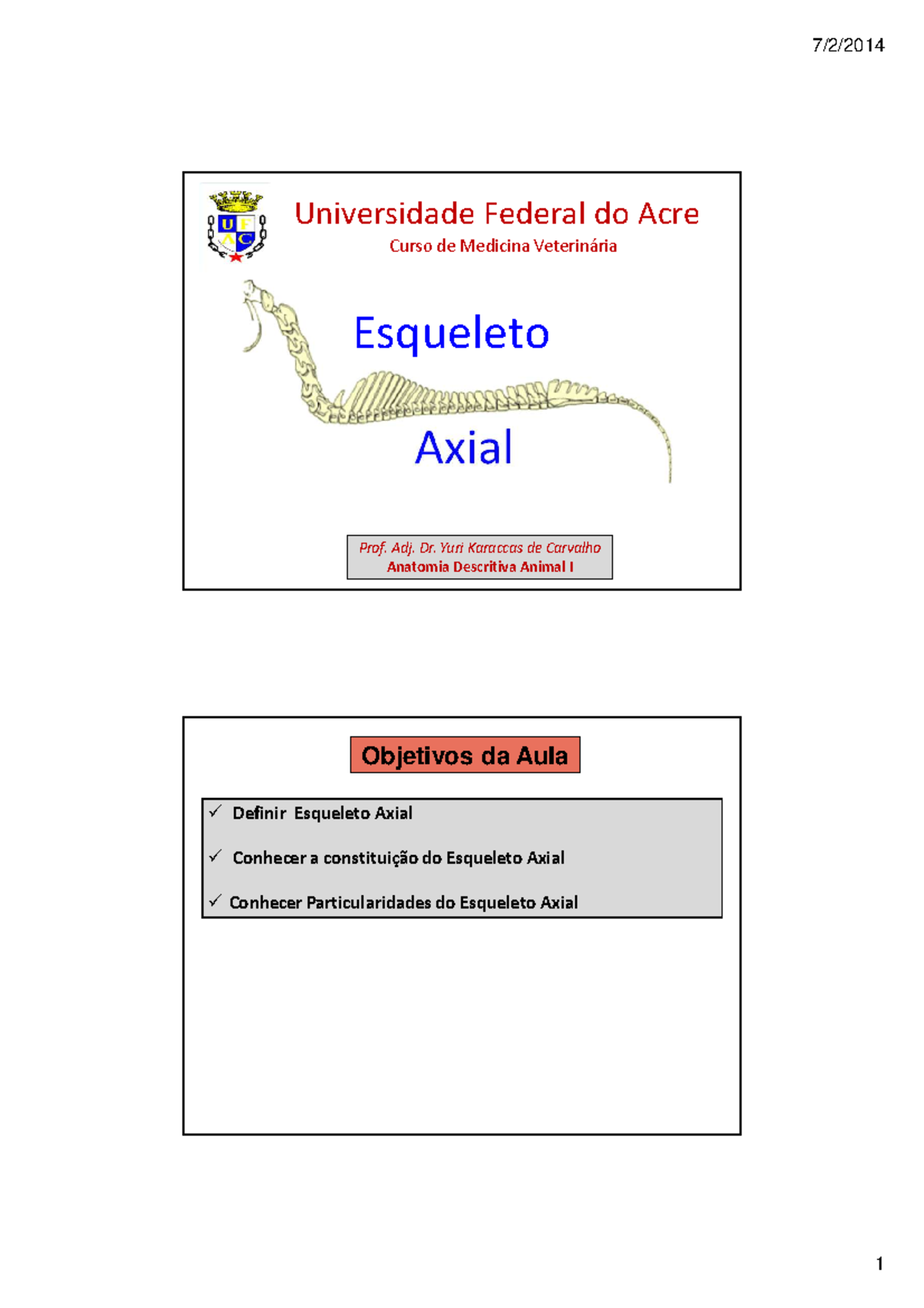 Aula 4 - Anatomia Descritiva Animal I - Esqueleto Axial - Studocu
