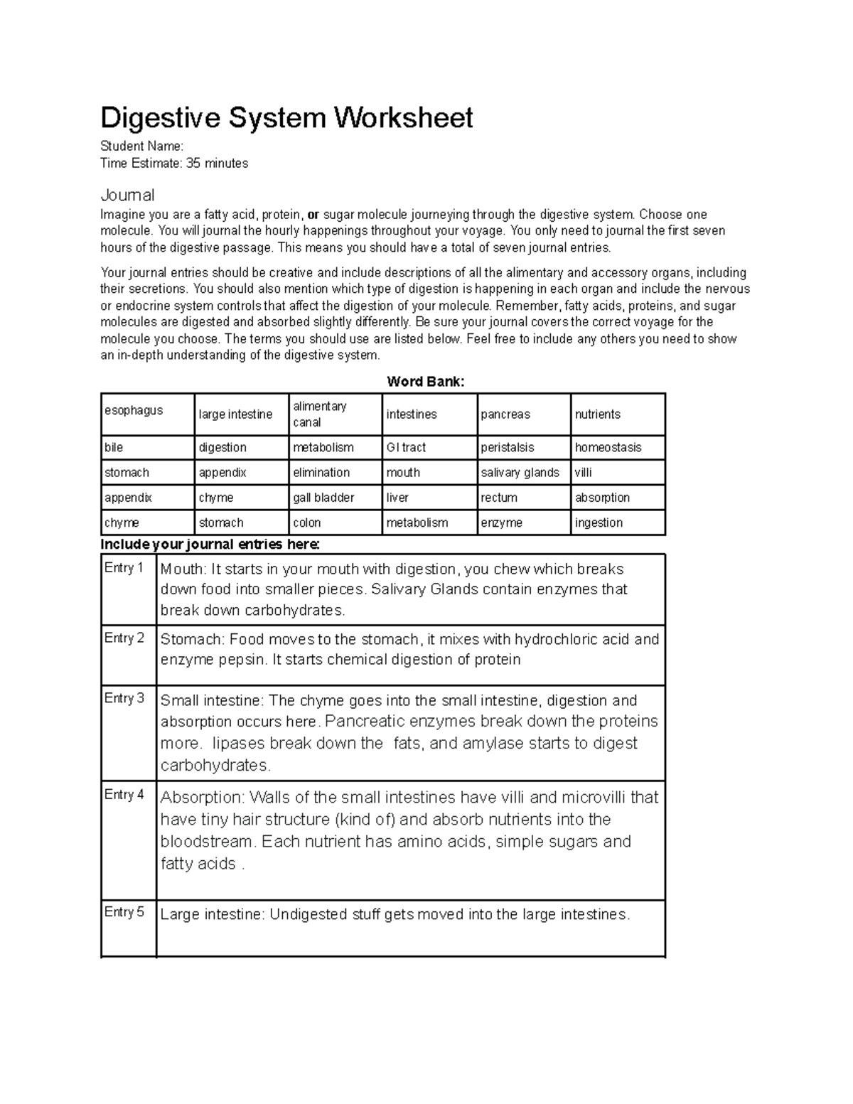Digestive System Journey: An Engaging Worksheet for Students - Studocu