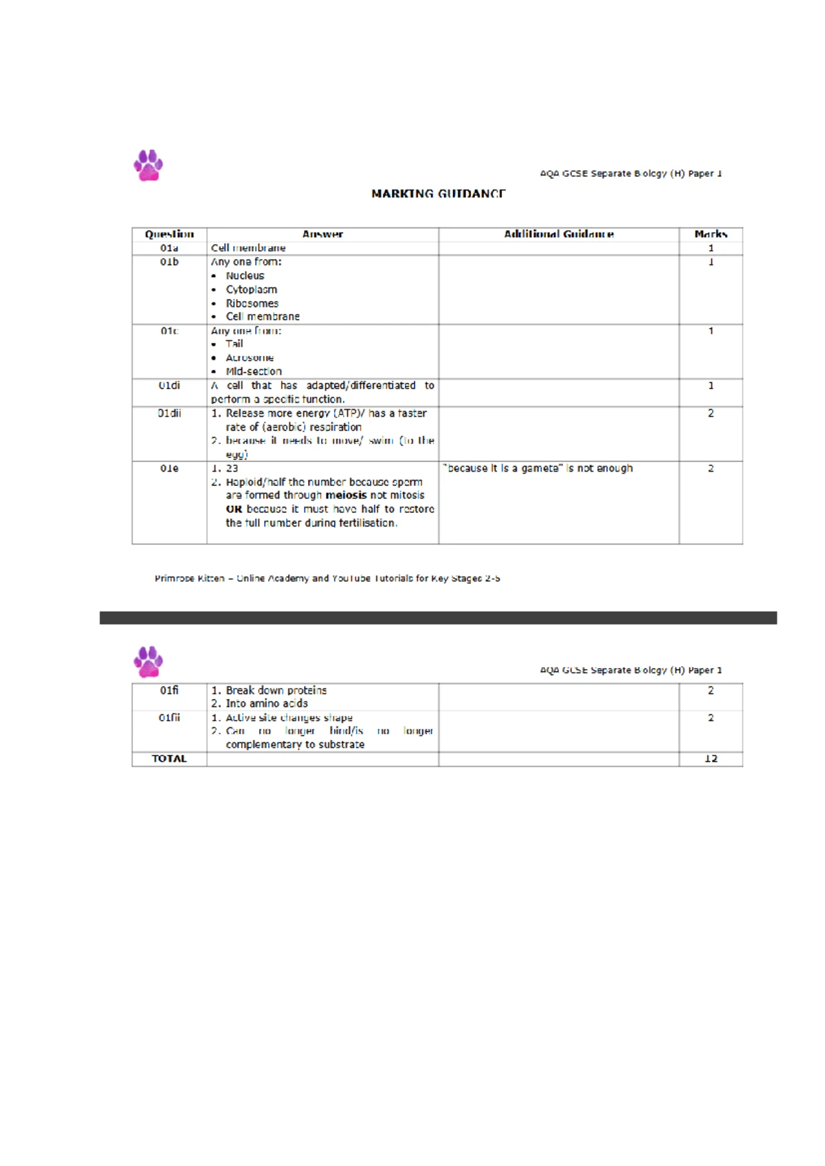 Ionic and Half Equations Practice Questions for Chemistry 101 - Studocu