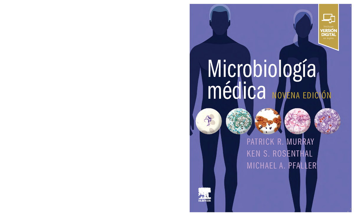 Murray C0395 Microbiología Médica - Novena Edición Resumen - Studocu