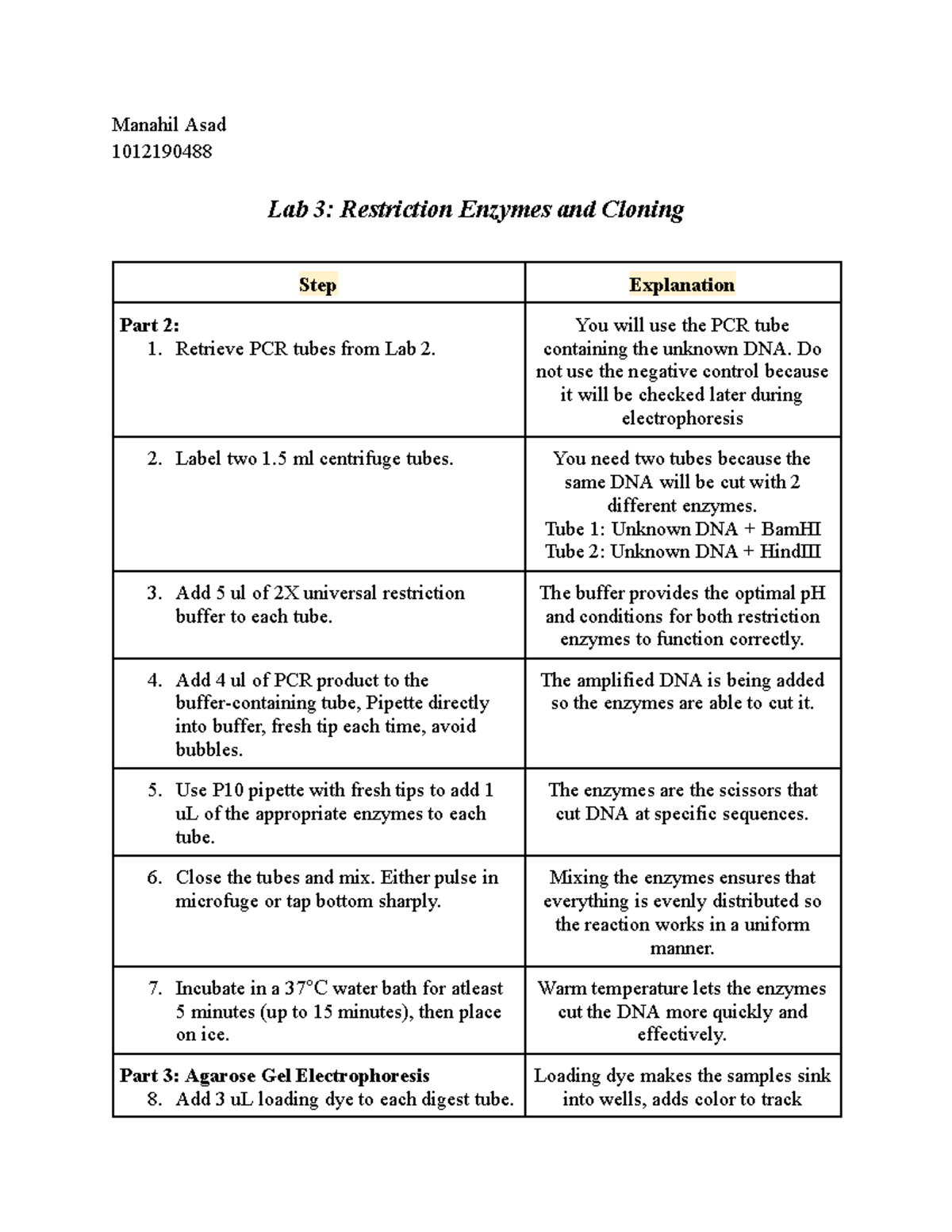 Bio Lab 3: Restriction Enzymes & PCR Protocol Overview - Studocu