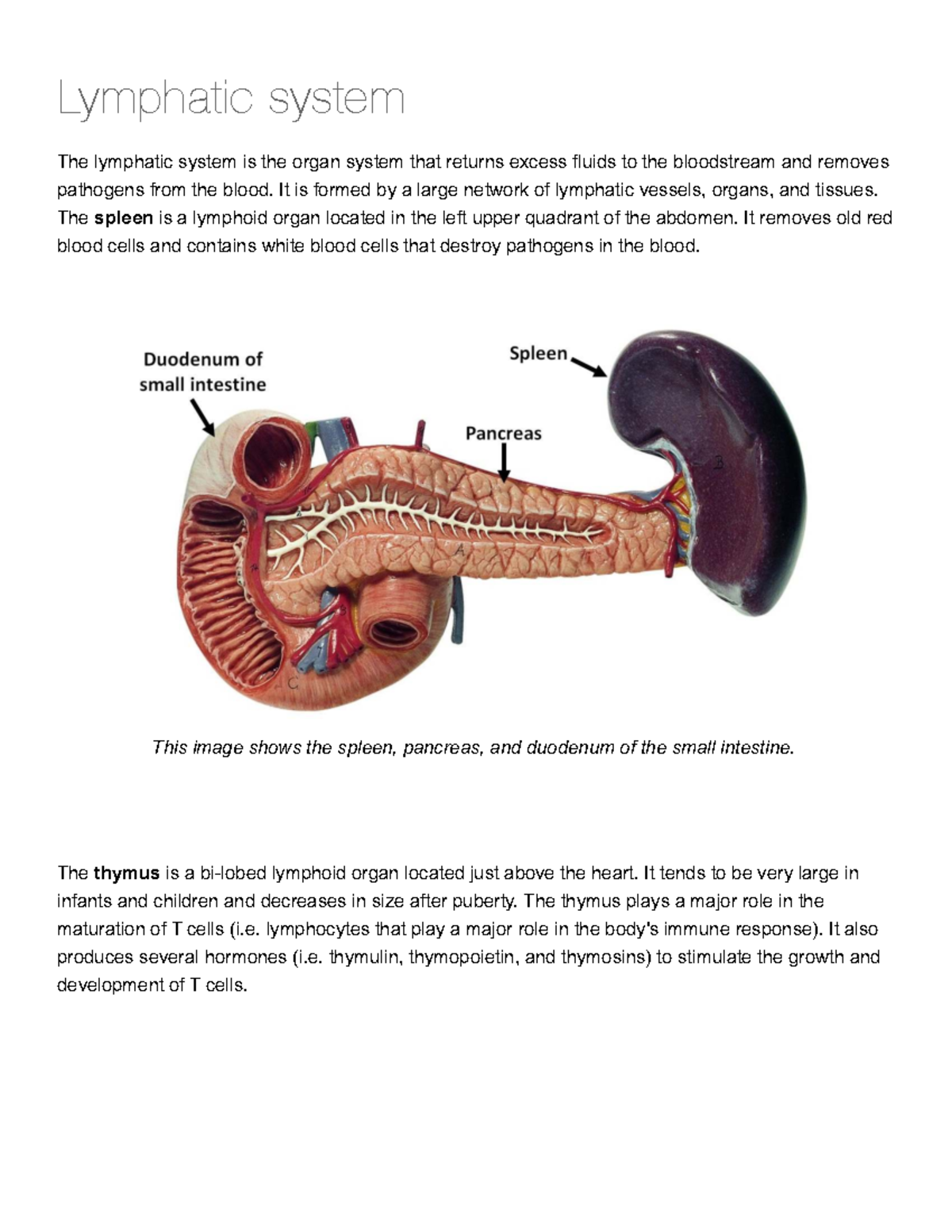 Lymphatic System Overview: Human Anatomy and Physiology II-251-72 - Studocu