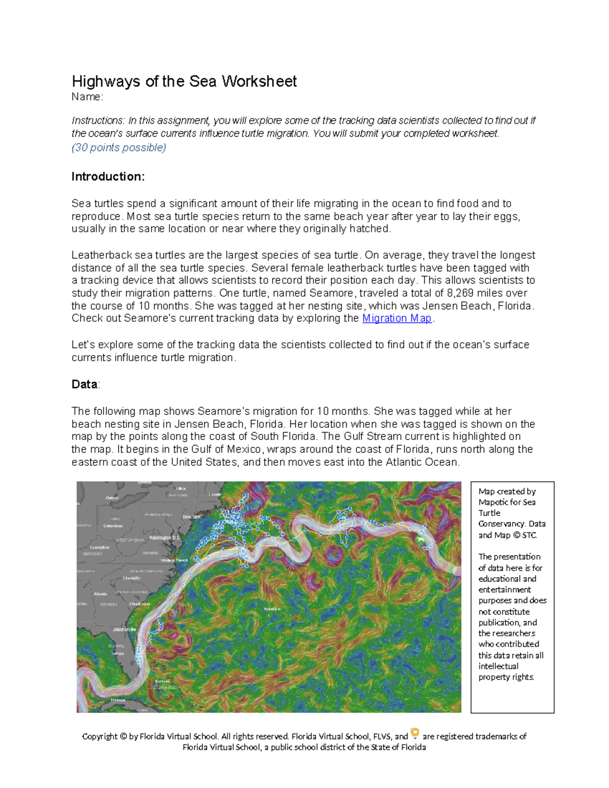 Highways of the Sea Worksheet: Turtle Migration & Current Analysis ...