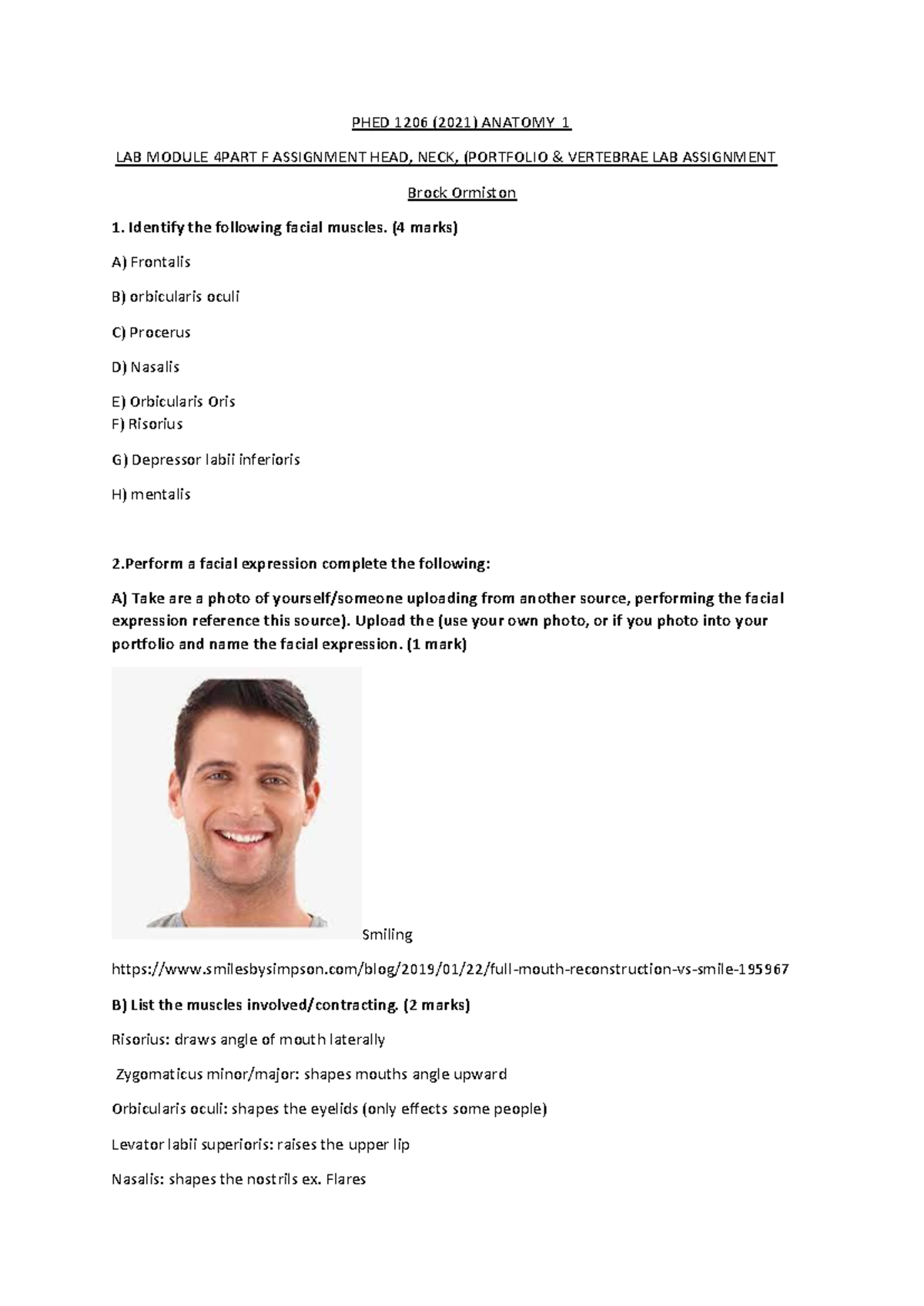 PHED 1206 Lab 4 - Anatomy of Head, Neck & Vertebrae Assignment - Studocu