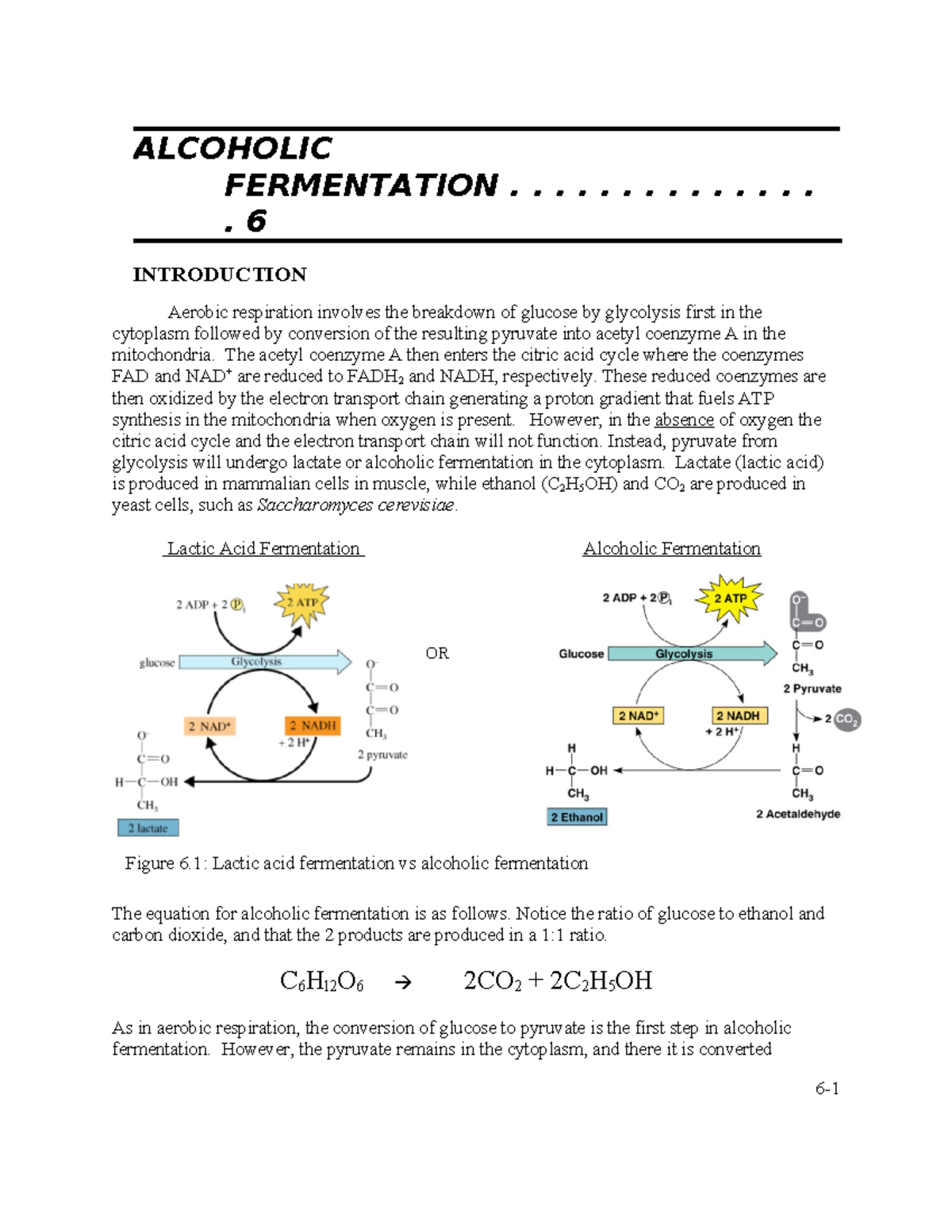 Effects of Temperature on Alcoholic Fermentation (Biology Lab ...