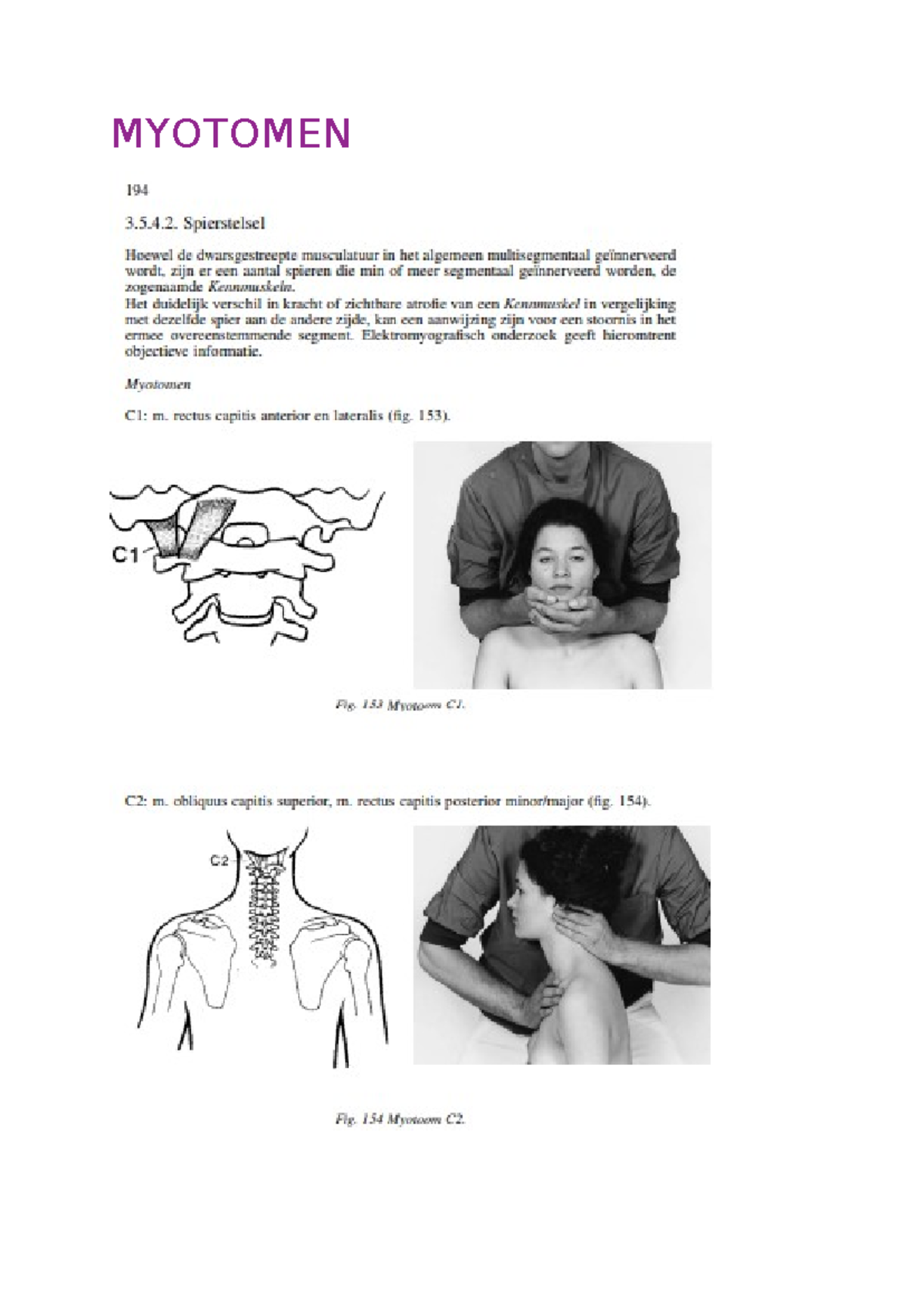 Myotomen en Sclerotomen: Anatomische Inzichten en Segmentatie - Studeersnel