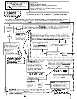 Concept Map Genetic Disorders - CHROMOSOMAL ABERRATIONS Key ...