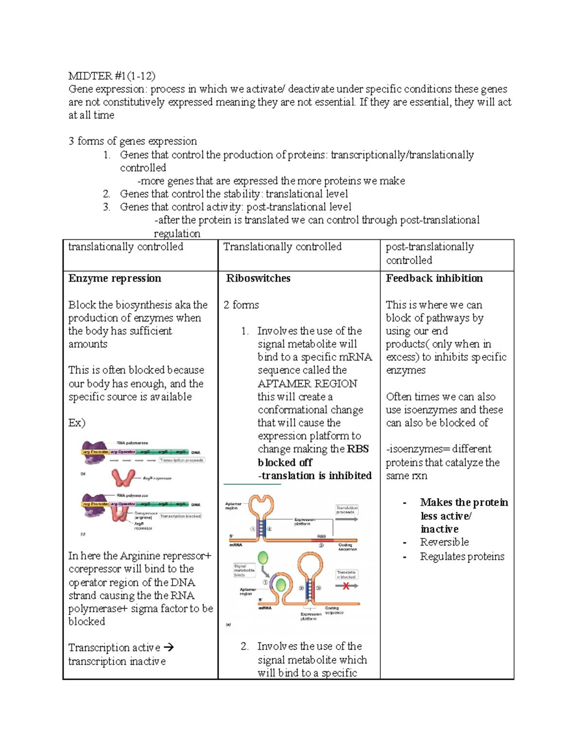 BMSC 210 Summary Sheets - MIDTER #1(1-12) Gene expression: process in ...