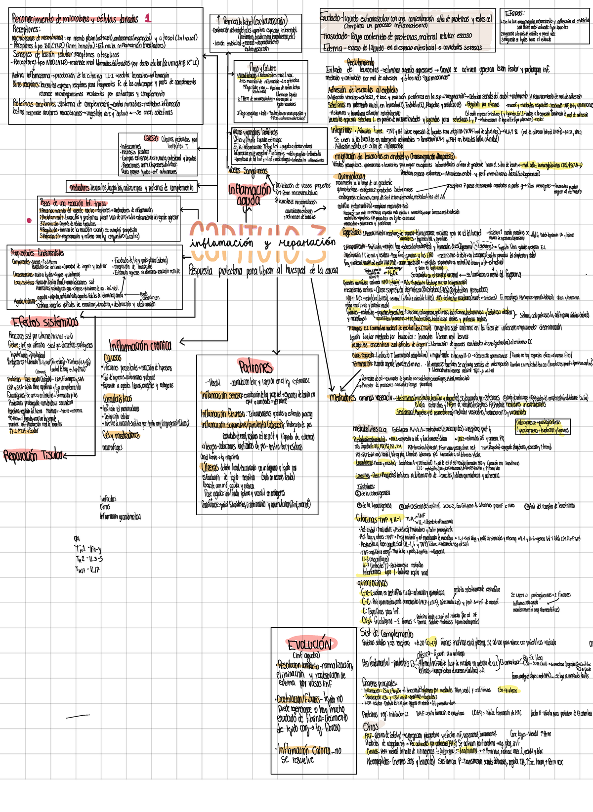 MAPA Capítulo 3 - Reconocimento de microbios células danadas 1 extravascular con una ...