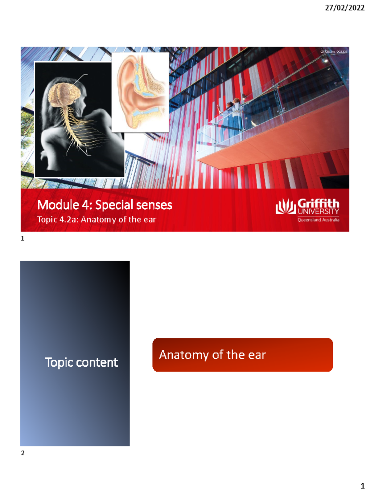 1016MSC Module 4: Anatomy of the Ear and Special Senses - Studocu