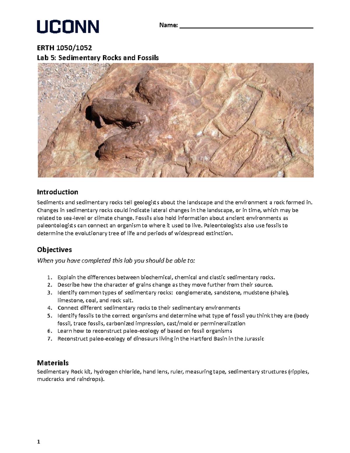 ERTH1052 Lab 5: Exploring Sedimentary Rocks and Fossils - Studocu