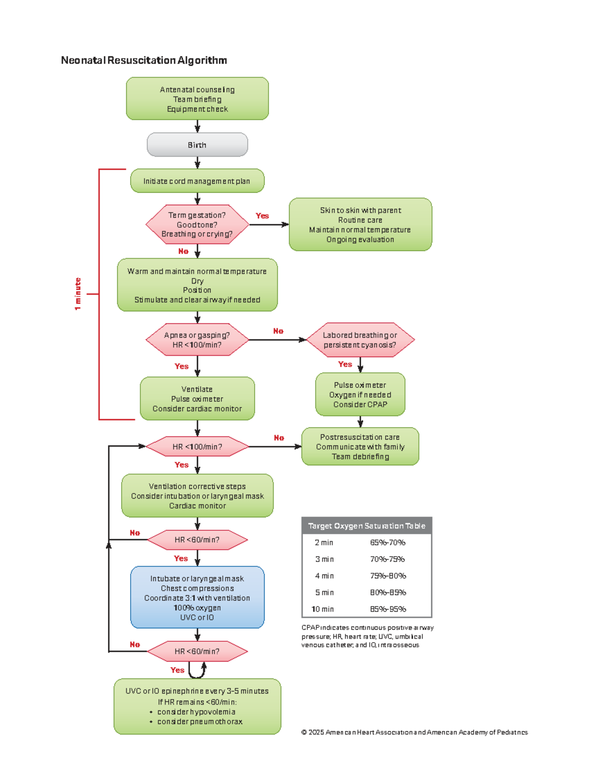 AHA 2025 Pediatric & Adult Resuscitation Algorithms Guide - Studocu