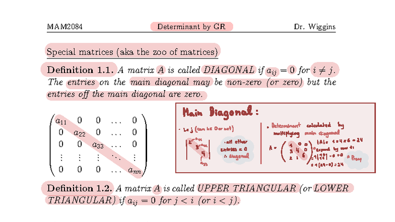 MAM2084 Lesson 10 - Determinants and Special Matrices by GR - Studocu