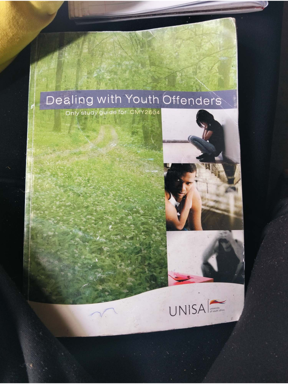 2025-05-14 12-21-53 - Summary Young Offenders and Youth Justice ...