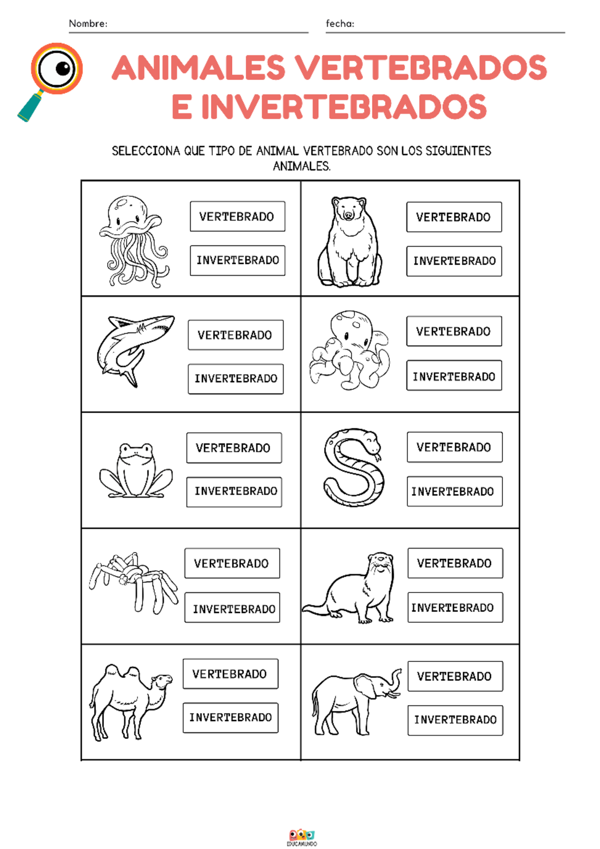 Hojas De Trabajo Imprimibles Gratuitas Sobre Vertebrados E Invertebrados
