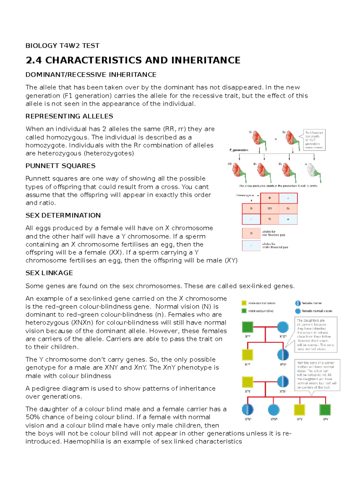 Biology exam '24 SEM 2 (Yr 10 NOT 11) - BIOLOGY T4W2 TEST 2 ...