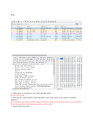 M04 - Midterm Capstones - M04 – Capstone 1 CSIA210-10P 1 – Create Display Filters for DHCP What ...