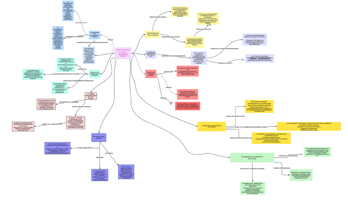 Mapa Conceptual: Transporte de Electrones y Fosforilación Oxidativa en ...