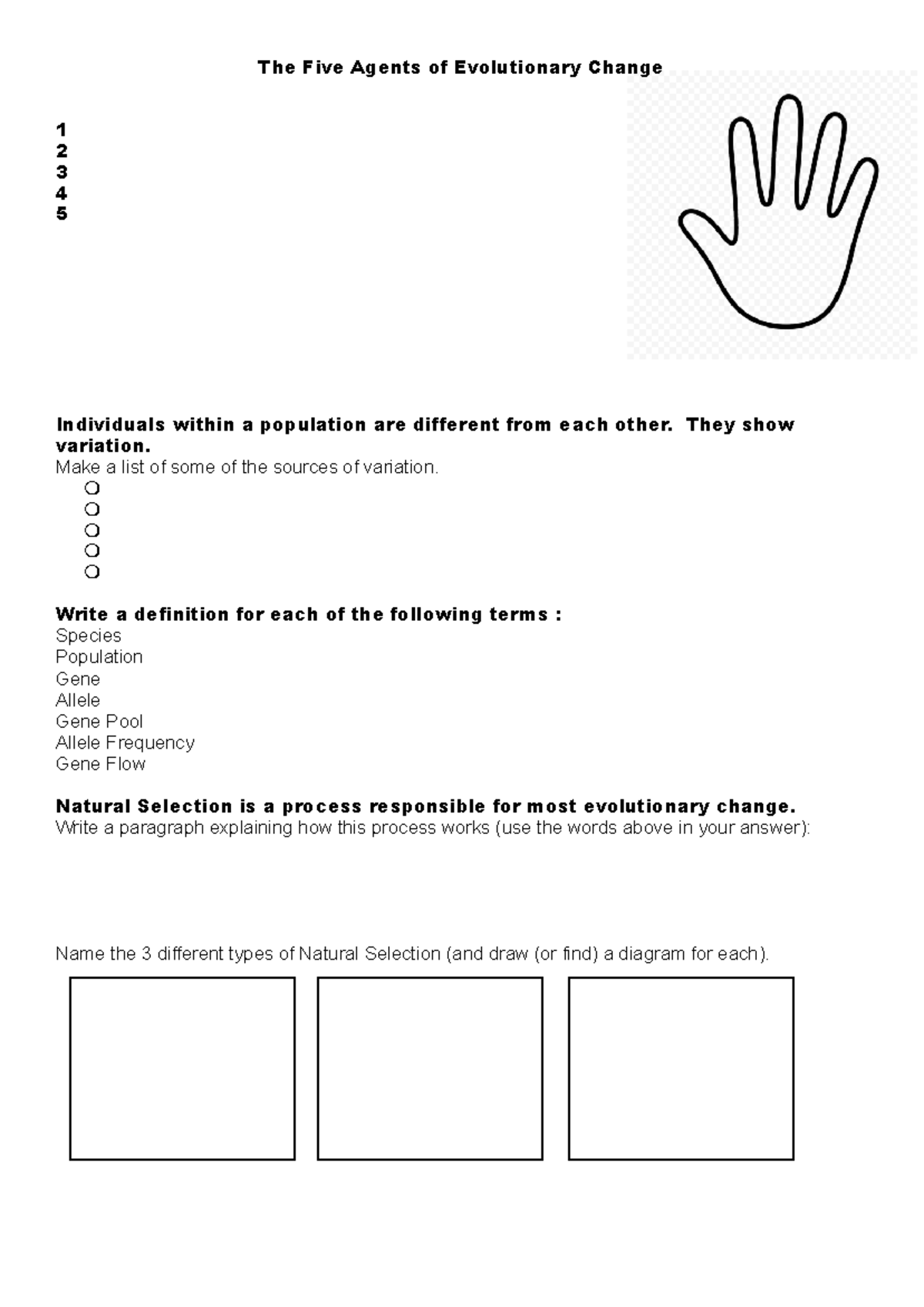 Genetics Practice Worksheet: Five Agents of Evolution - Studocu