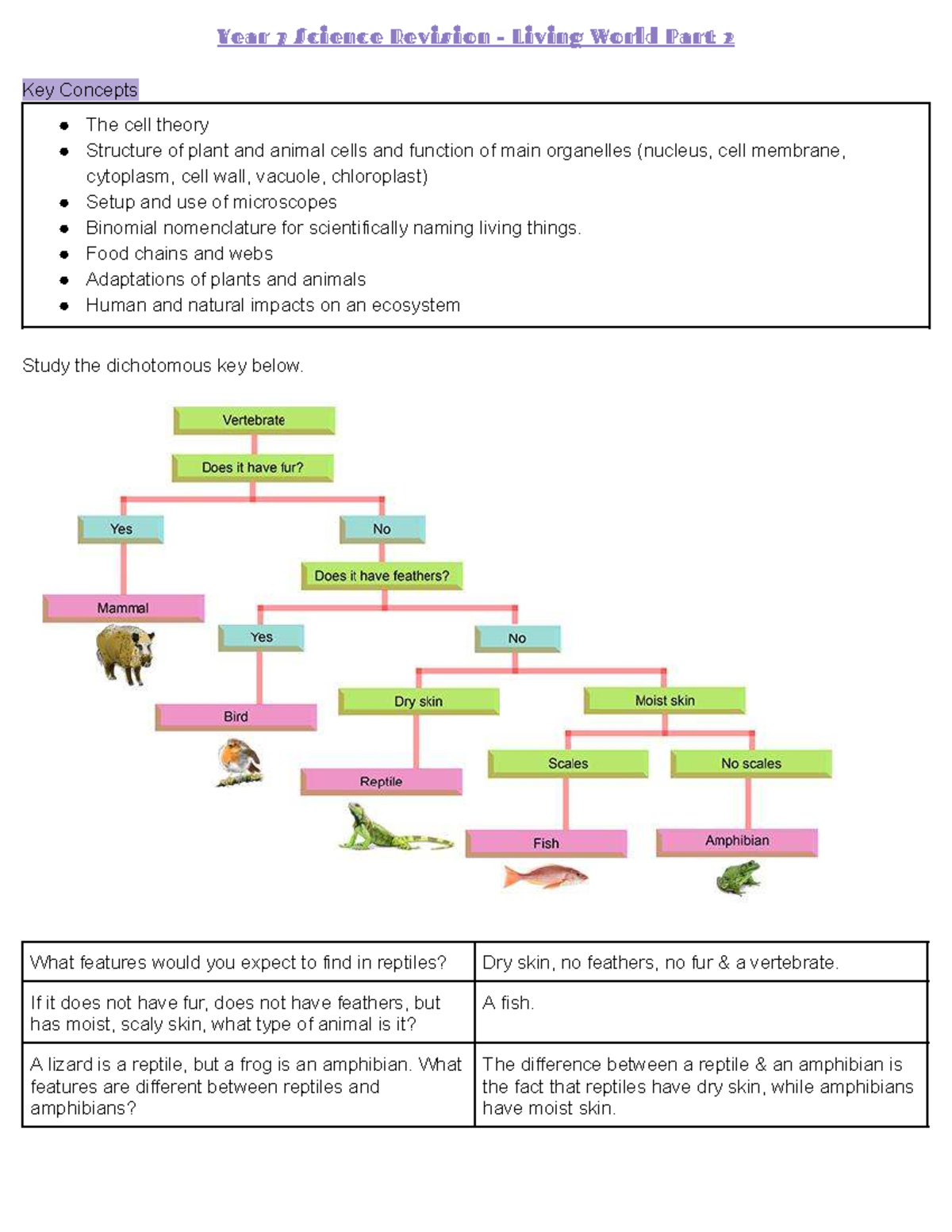 Year 7 Science Revision (Living World Part 2): Key Concepts & Ecosystem ...