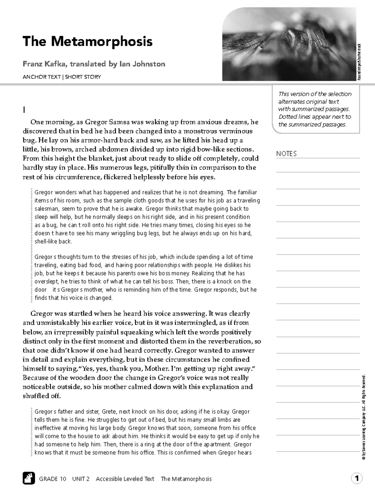 Grade 10 Unit 2 Abridged Text of The Metamorphosis by Kafka - Studocu