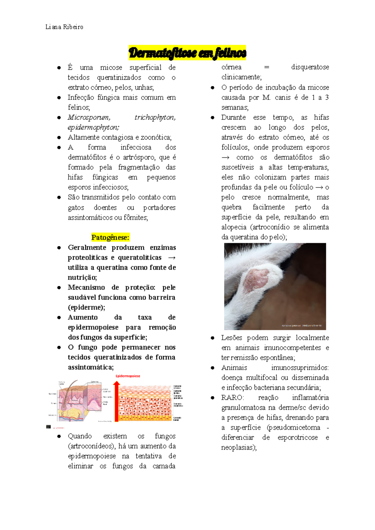 Dermatofitose em felinos resumo - Dermatofit e felin É uma micose ...