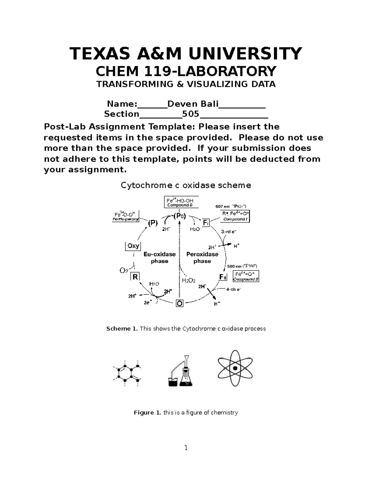 CHEM 119 - Transforming & Visualizing Data Assignment Template - Studocu