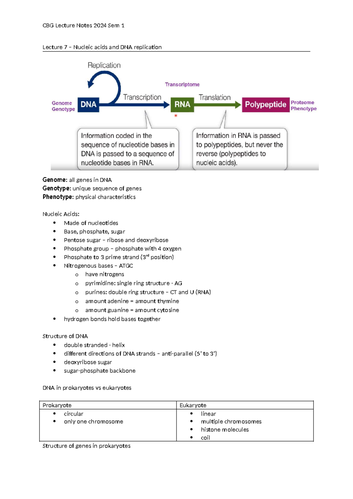 CBG Lecture Notes 2024 Sem 1: Nucleic Acids, DNA Replication & Cell ...