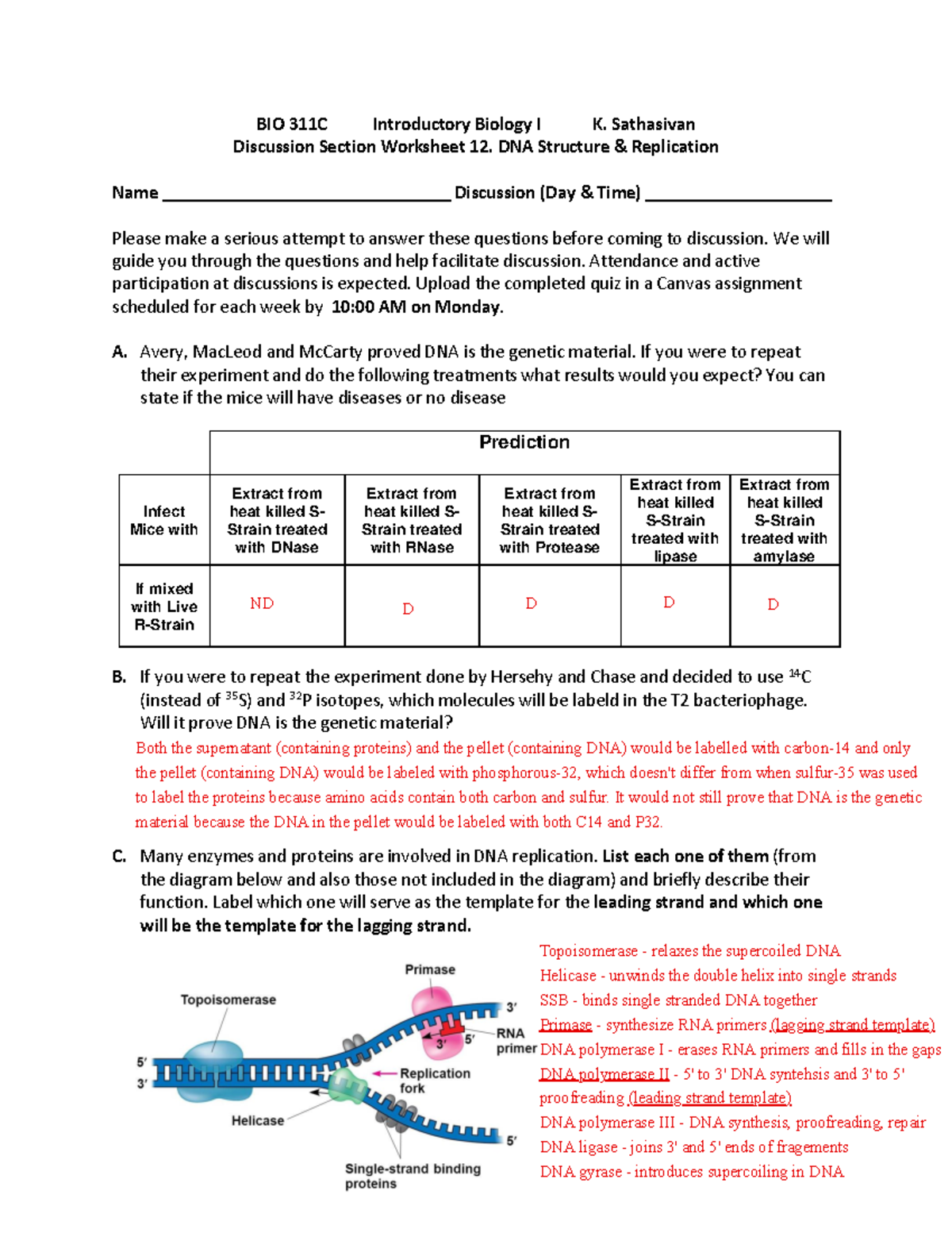 Discussion Worksheet 12 - 1 BIO 311C Introductory Biology I K ...