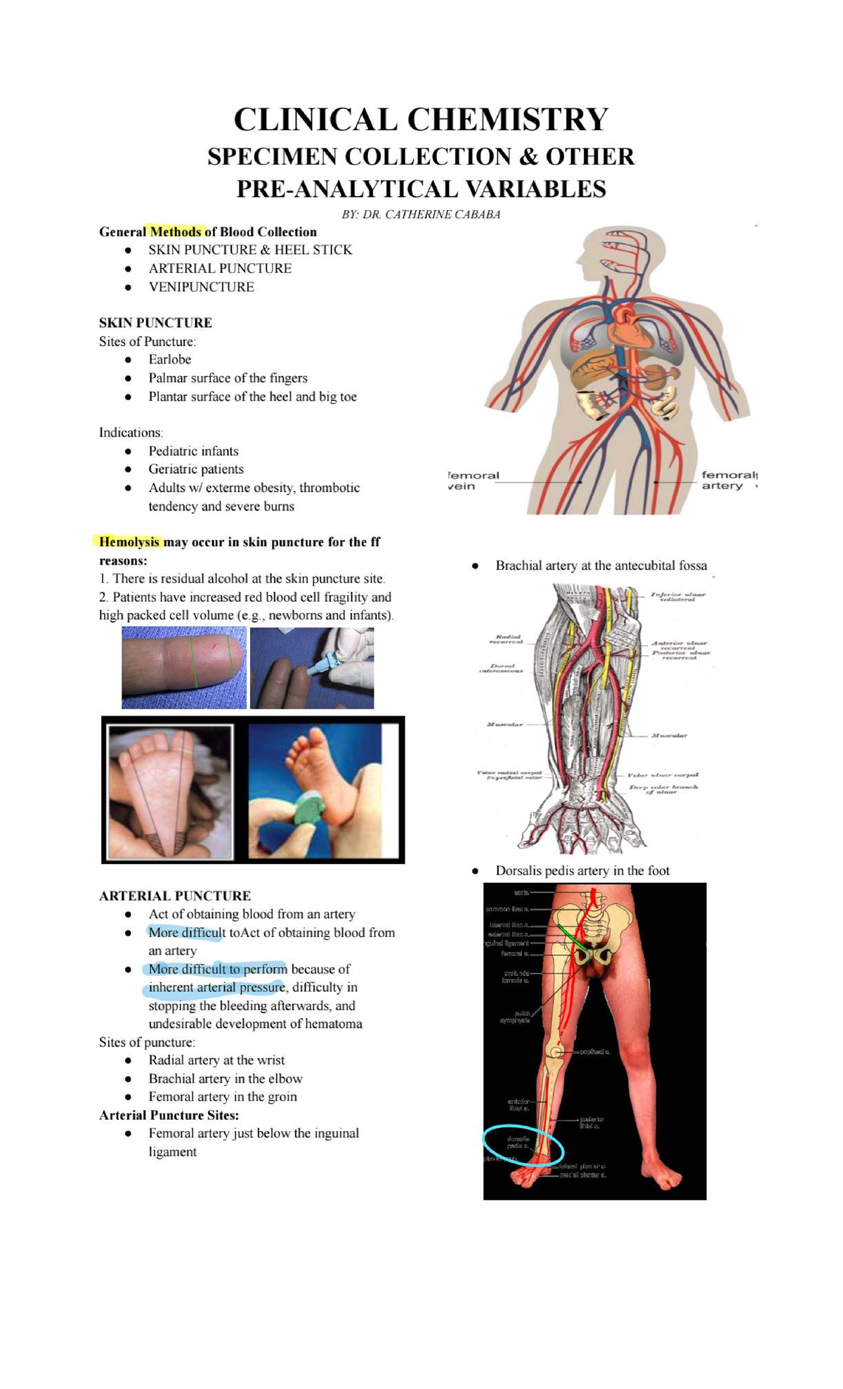 CLINICAL CHEMISTRY: BLOOD COLLECTION METHODS & VARIABLES (CLIN CHEM ...