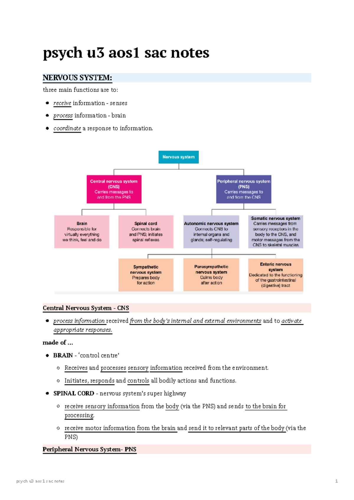 Psych U3 AOS1 SAC Notes: Understanding the Nervous System Functions ...