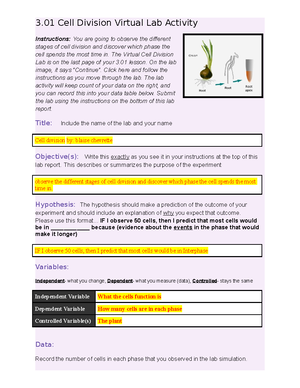 Protein Synthesis Gizmo - Student Exploration: RNA and Protein ...
