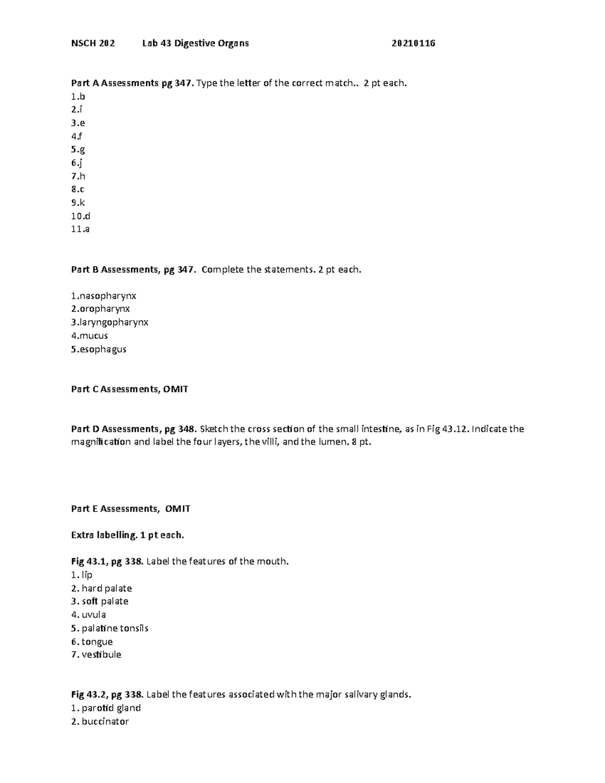 NSCH 202 Lab 43a - Digestive Organs Assessments and Diagrams - Studocu