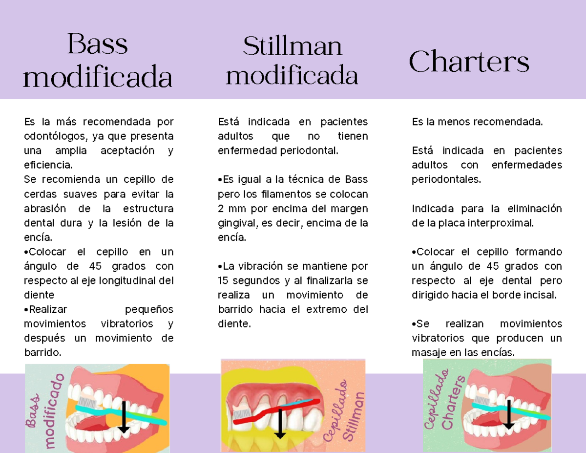 Técnicas de Cepillado Dental: Stillman y Bass para Adultos - Studocu