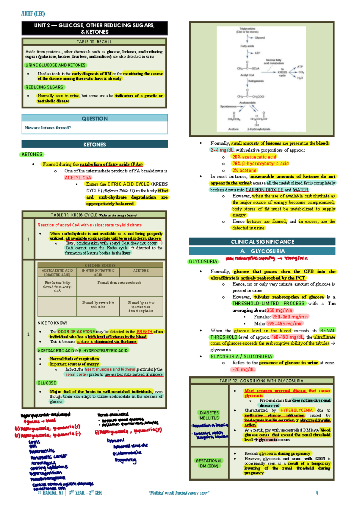 AUBF (LEC) UNIT 2: Glucose, Reducing Sugars & Ketones Overview - Studocu