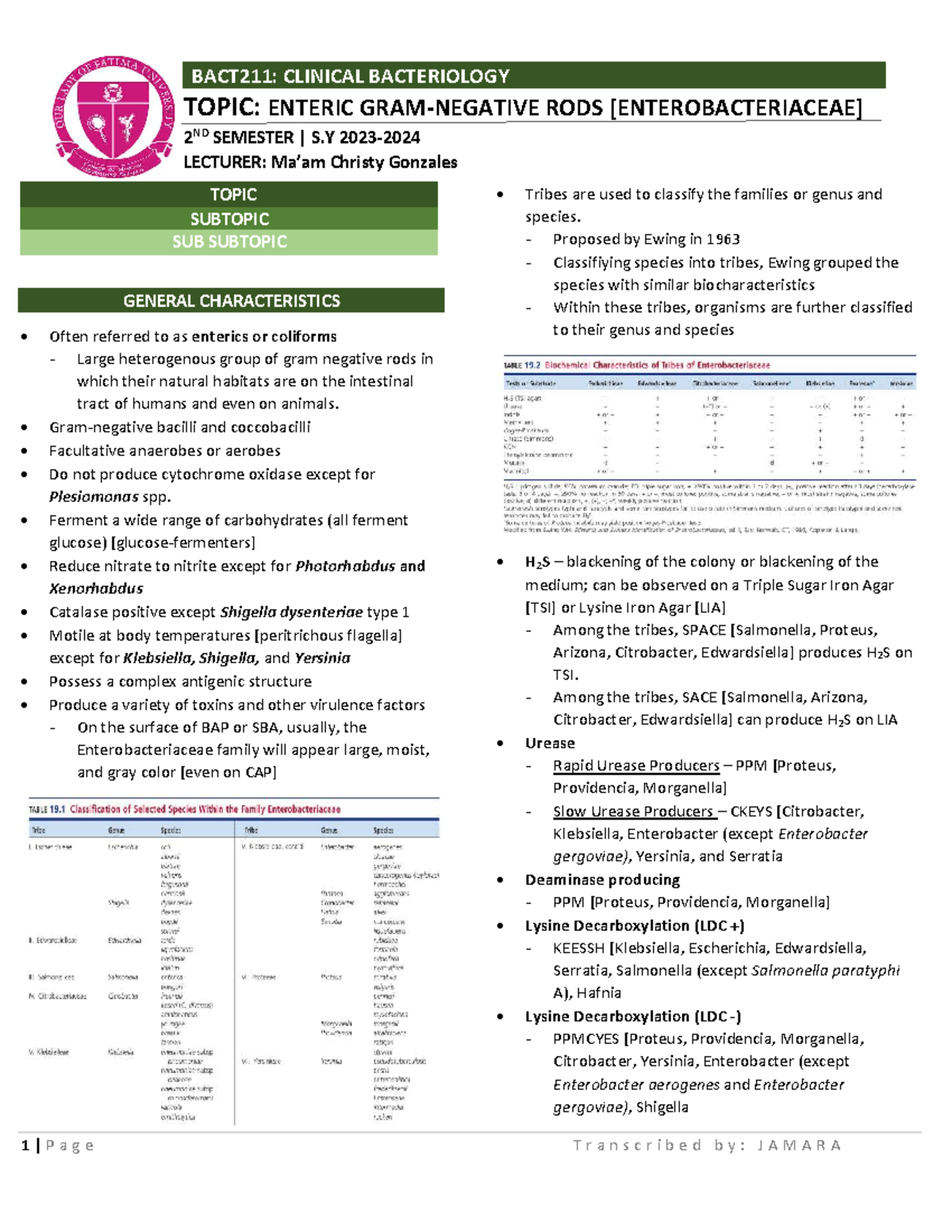 BACT211: Clinical Bacteriology - Enteric Gram-Negative Rods Overview ...