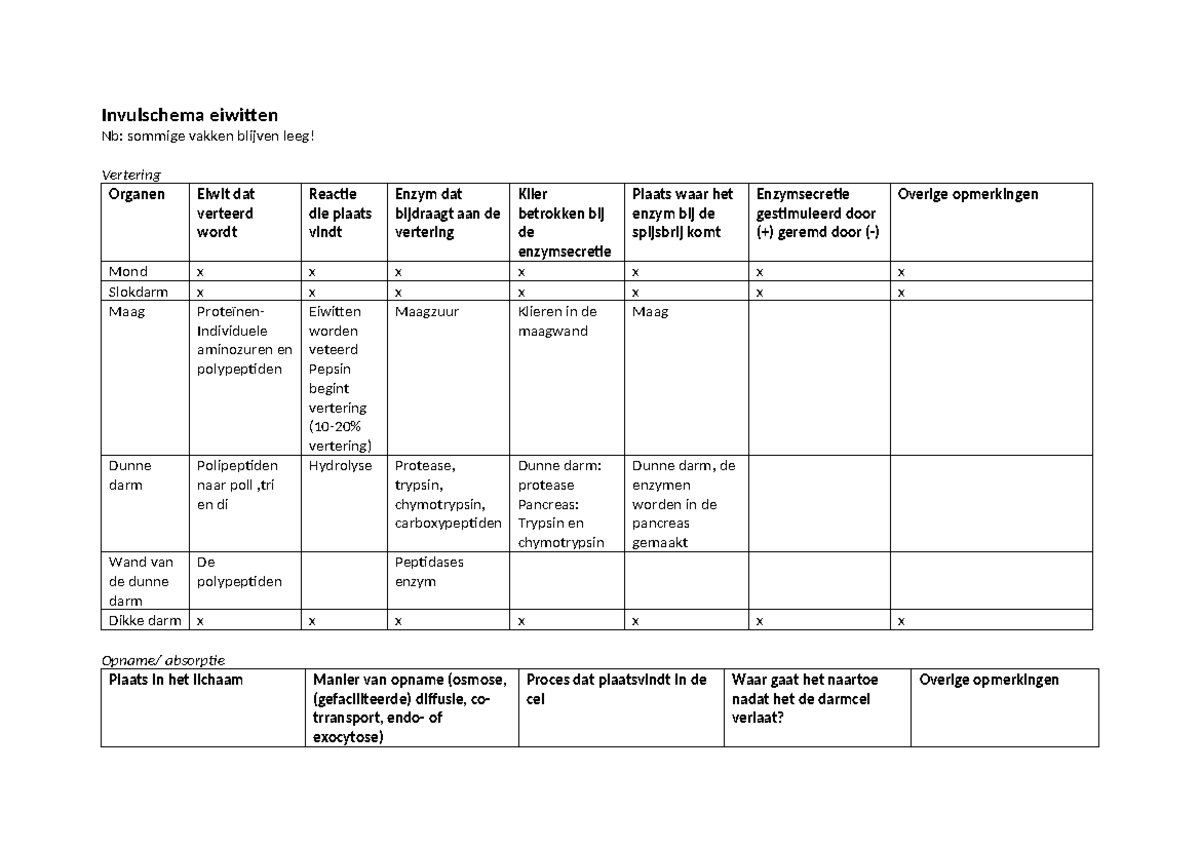 Eiwit Vertering en Functies - Invulschema Biologie 101 - Studeersnel