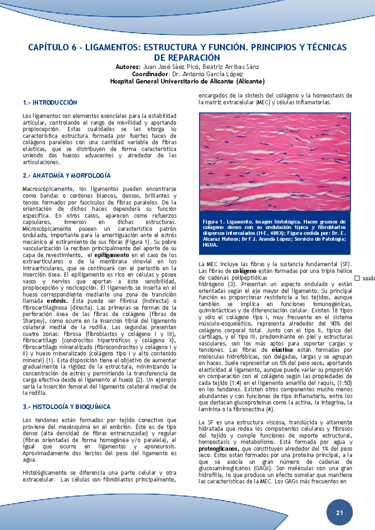 Triada de cushing - T R I A D A D E C U S H I N G ¿Qué es la Triada de ...