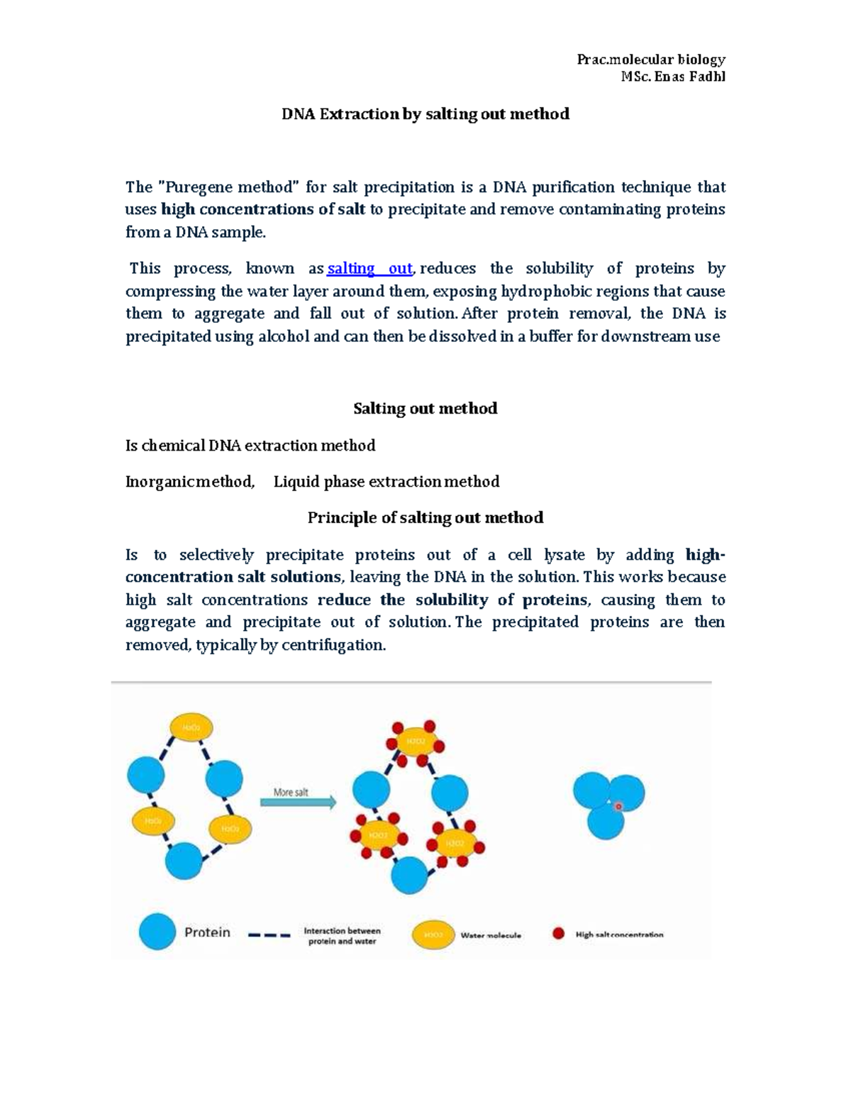 MSc Molecular Biology Lab 3: DNA Extraction via Salting Out Method ...
